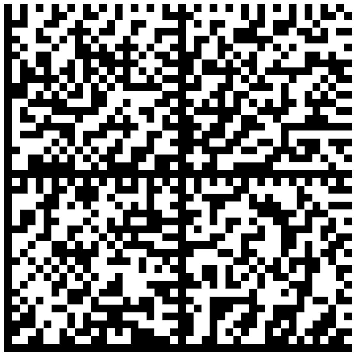 Goose Technologies Pvt Ltd.: 2D bar coding with authentication features ...