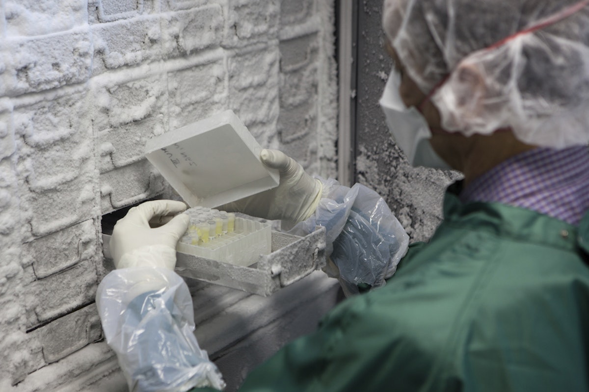 Cryo Store B.V. to Use Cryogenic Logistics Products in Europe ...