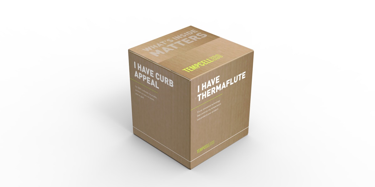 Tempcell® ECO Recognized by Fast Company’s 2020 World Changing Ideas ...