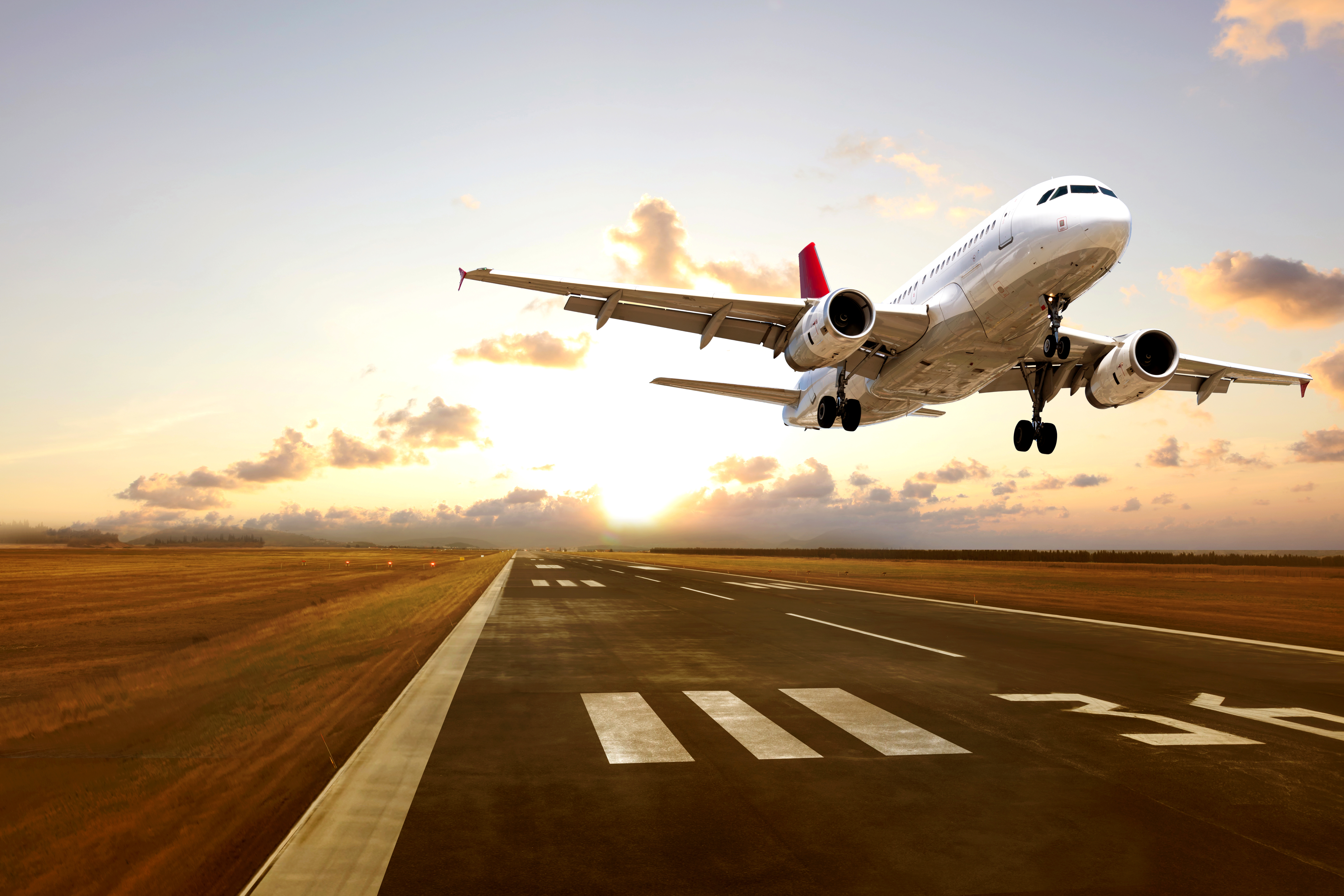 Inmar: MEDEX TRAYSAFE MOBILE | Healthcare Packaging